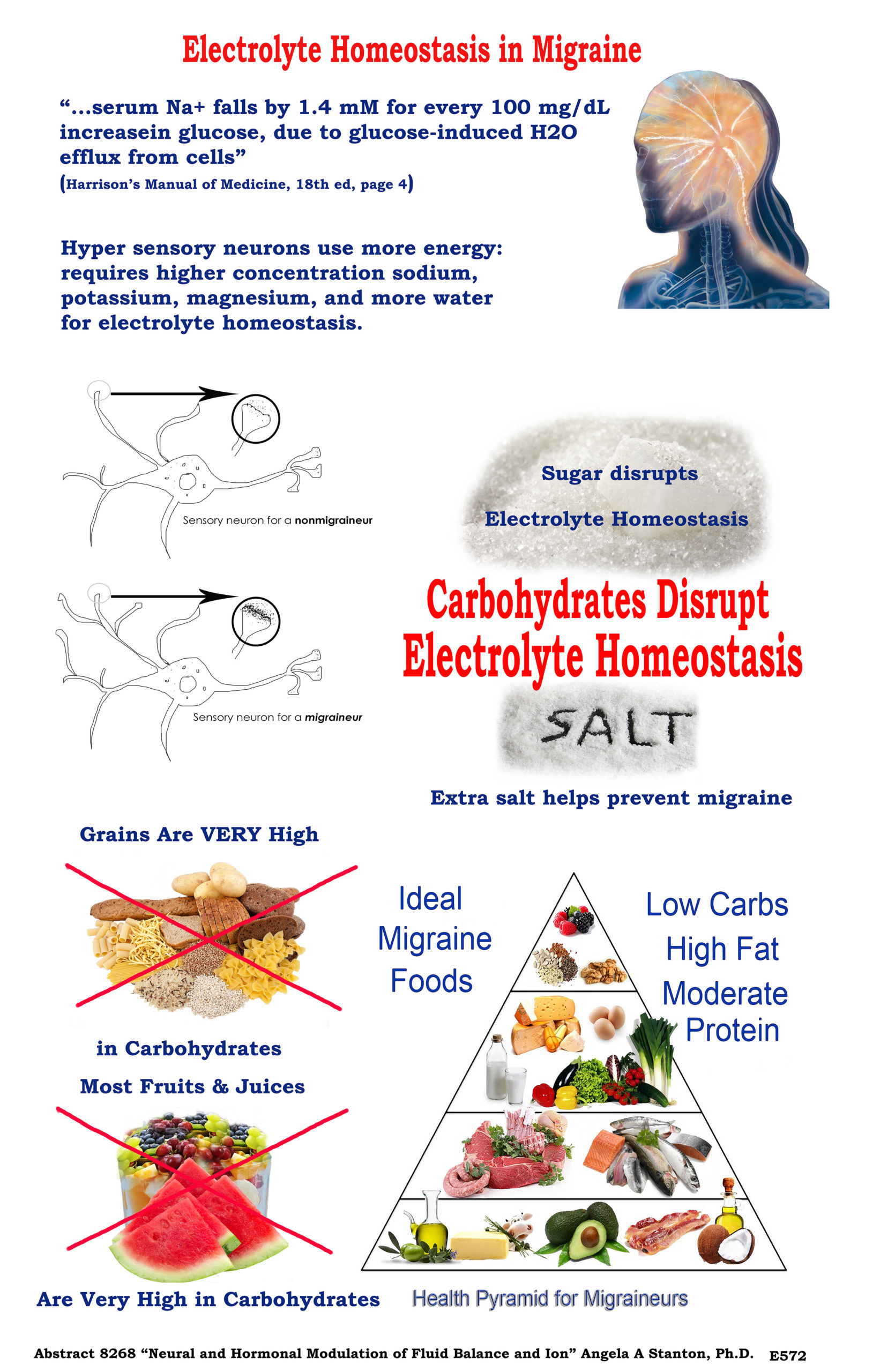 APS-poster Electrolyte Homeostasis - Hormones Matter