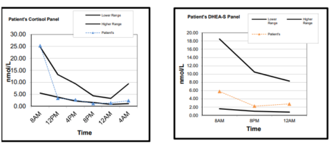 Zinc Deficiency and Pyroluria: A Case Study - Hormones Matter